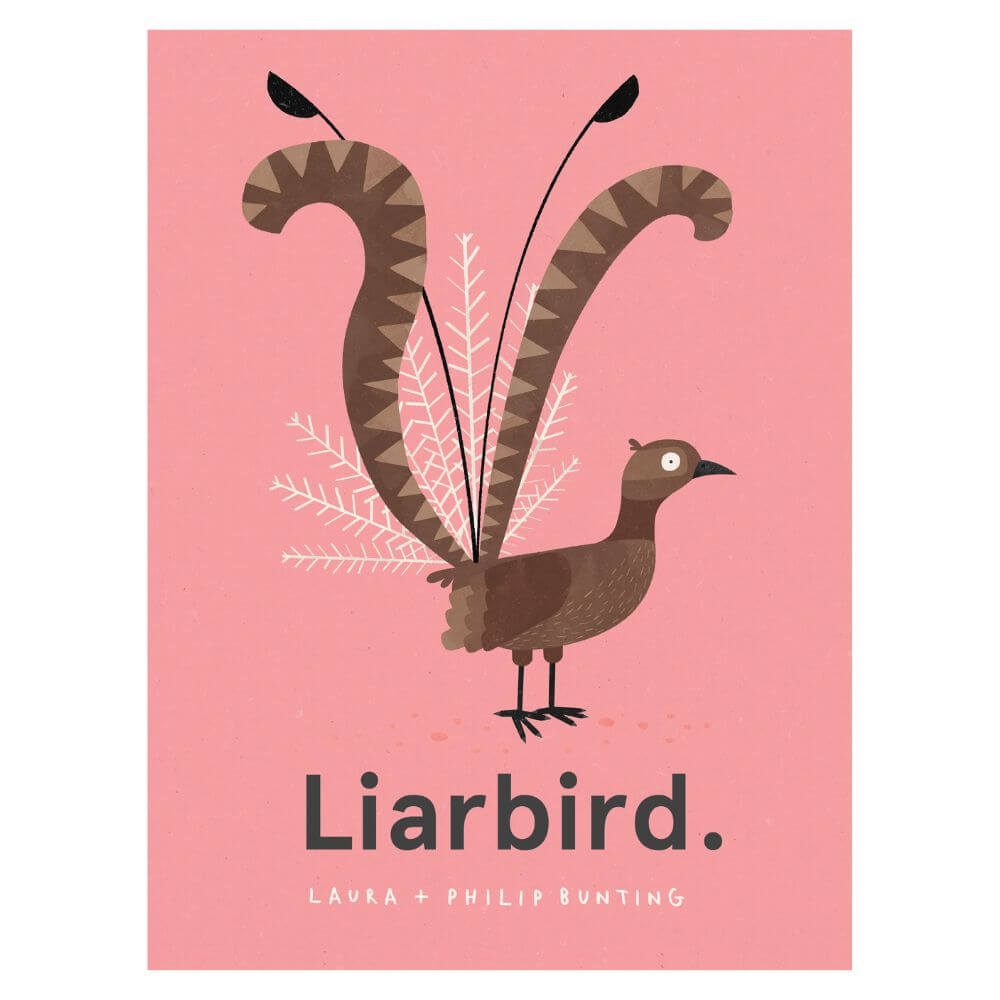 Liarbird | Kids Books Balnarring